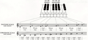 Diatonic Scale 101: Theory Essentials For Inspired Producers