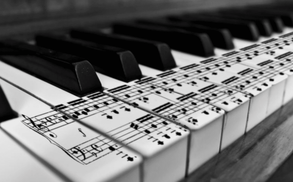 Timbre Meaning: Sculpting Your Sound with Powerful Precision